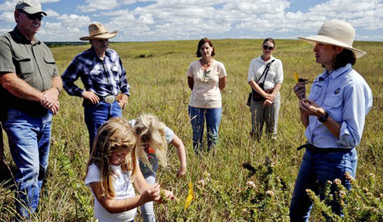 Learn about Missouri’s native grasslands at MDC’s free Prairie Day ...